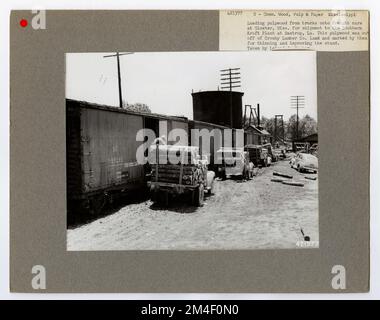 Pulp and Paper Woods - Mississippi. Photographs Relating to National ...