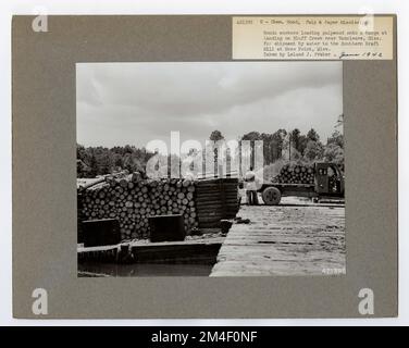 Pulp and Paper Woods - Mississippi. Photographs Relating to National ...