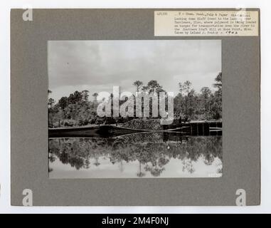 Pulp and Paper Woods - Mississippi. Photographs Relating to National ...