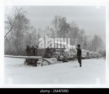 Pulp and Paper Woods - Maine. Photographs Relating to National Forests ...