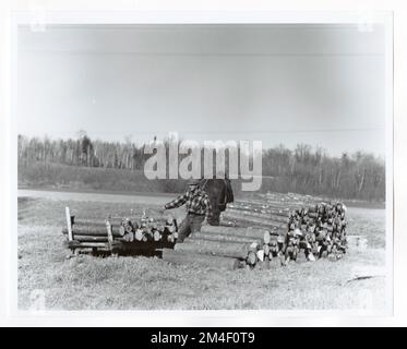 Pulp and Paper Woods - Maine. Photographs Relating to National Forests ...