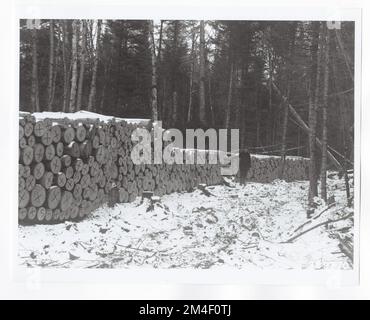 Pulp and Paper Woods - Maine. Photographs Relating to National Forests ...