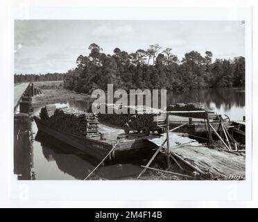 Pulp and Paper Woods - Alabama. Photographs Relating to National ...