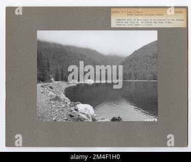 Pulp and Paper Mills - Alaska. Photographs Relating to National Forests ...