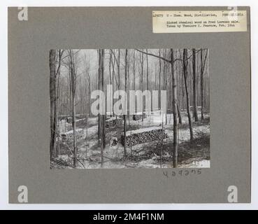 Chemical Wood - Pennsylvania. Photographs Relating to National Forests ...