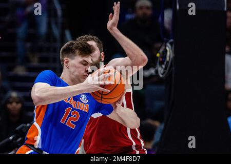 Charlotte, NC, USA. 20th Dec, 2023. Florida Gators guard Alberte Rimdal ...