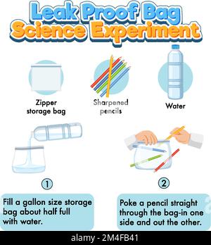 Leak proof bag science experiment illustration Stock Vector Image & Art ...
