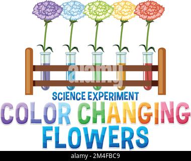 Color Changing Flowers Science Experiment illustration Stock Vector ...