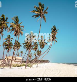 Al Haffa beach at Salalah, Sultanate of Oman Stock Photo - Alamy