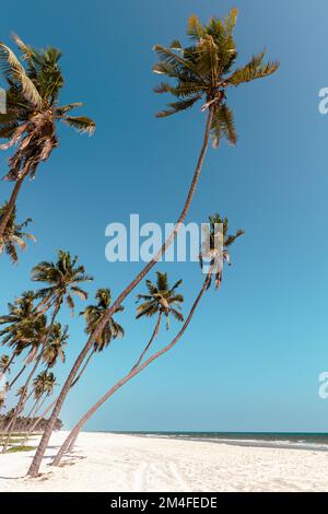 Al Haffa beach at Salalah, Sultanate of Oman Stock Photo - Alamy