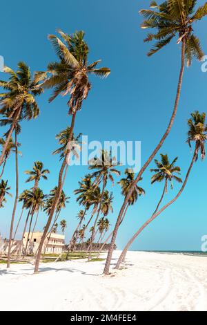 Al Haffa beach at Salalah, Sultanate of Oman Stock Photo - Alamy
