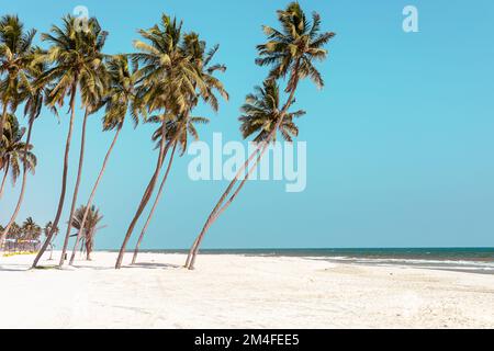 Al Haffa beach at Salalah, Sultanate of Oman Stock Photo - Alamy