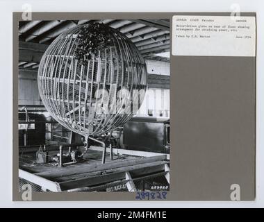 Parades - All States. Photographs Relating to National Forests ...