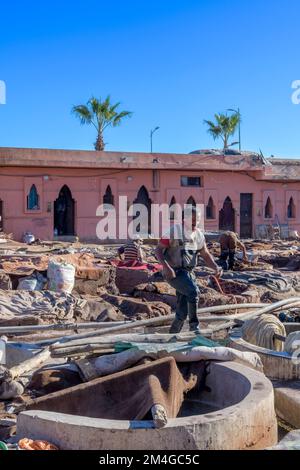 The tanneries in the outskirts of Marrakech. Murdered animals are ...