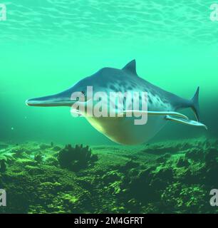 Shonisaurus ichthyosaur, illustration Stock Photo - Alamy