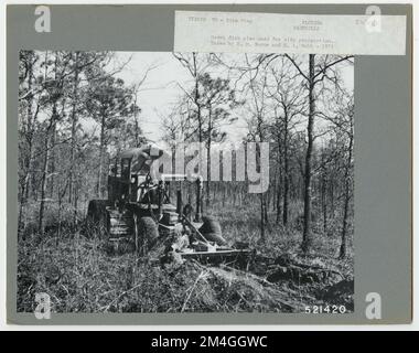 Tree Seeding - Florida. Photographs Relating to National Forests ...