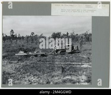 Tree Seeding - Florida. Photographs Relating to National Forests ...