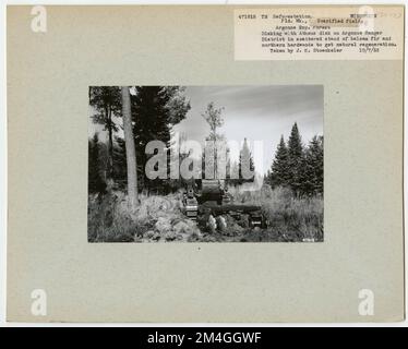 Tree Seeding - Wisconsin. Photographs Relating to National Forests ...