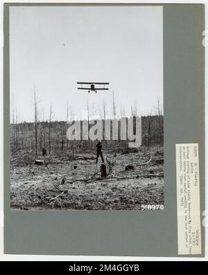 Tree Seeding - Louisiana. Photographs Relating to National Forests ...
