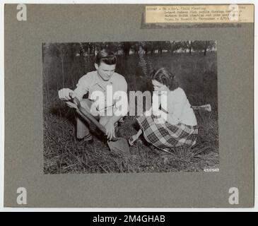 Reforestation: Planting - New York. Photographs Relating to National ...