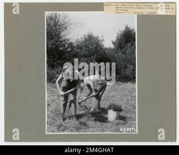 Reforestation: Planting - New York. Photographs Relating to National ...