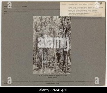 Reforestation: Camera Point - Georgia. Photographs Relating to National ...