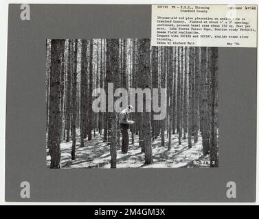 Reforestation: Plantations - Michigan. Photographs Relating to National ...