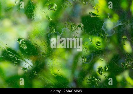 Close up dry water stains on the glass window, water drops of rain on a ...