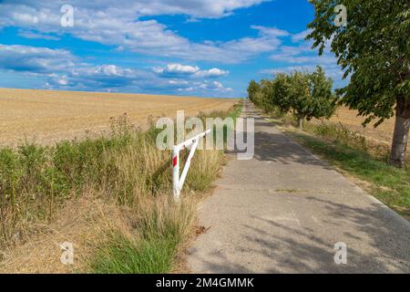 Dirt road with a traffic barrier and apple trees on the way away. High ...