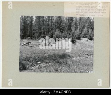 Reforestation - Oregon. Photographs Relating to National Forests ...