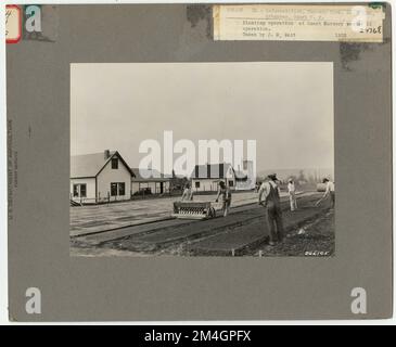 Reforestation - Arkansas. Photographs Relating to National Forests ...