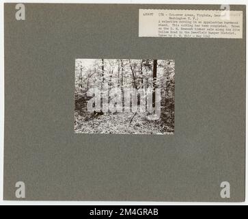 Timber Management - Partial Cutting - Virginia. Photographs Relating to ...