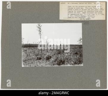 Timber Management - Partial Cutting - Minnesota. Photographs Relating ...