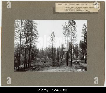 Timber Management - Partial Cutting - California. Photographs Relating ...