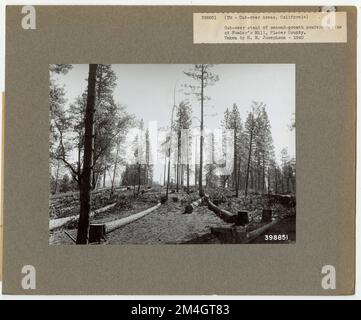 Timber Management - Partial Cutting - California. Photographs Relating ...