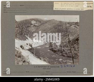Effects of Logging - All States. Photographs Relating to National ...