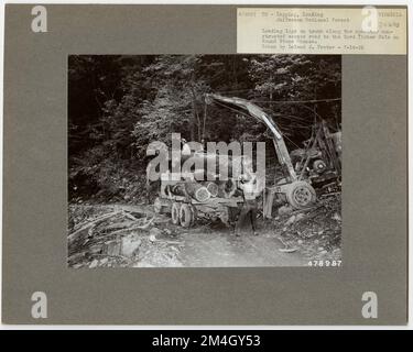 Logging: Loading Logs - Virginia. Photographs Relating to National ...
