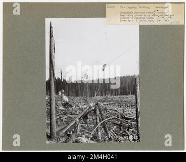 Logging: High Lead Log Skidding - Washington. Photographs Relating to ...