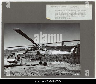 Logging: High Lead Log Skidding - California. Photographs Relating to ...