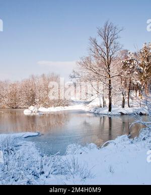 Frosty and snow laden trees around ice covered frozen Pool/Mere in ...