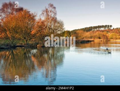 Autumn late November, Hazel Slade Wildlife Nature Reserve, Cannock ...