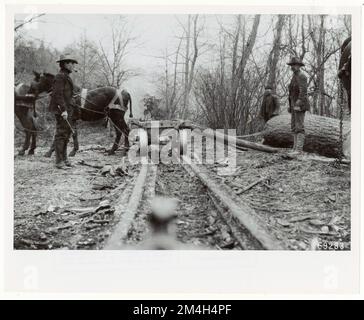 Logging: Transportation: Railroads - Tennessee. Photographs Relating to ...