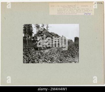 Logging: Transportation: Railroads - Minnesota. Photographs Relating to ...