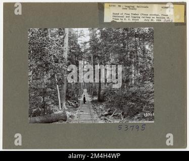 Logging: Transportation: Railroads - Minnesota. Photographs Relating to ...