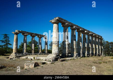 Hera Templ, Palatine Tablets, Metaponto, Ruins, Archaeological Site ...
