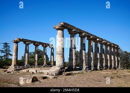 Hera Templ, Palatine Tablets, Metaponto, Ruins, Archaeological Site ...