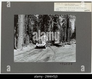 Logging: Transportation: Trucks - California. Photographs Relating to ...