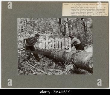 Logging: Bucking - Georgia. Photographs Relating to National Forests ...