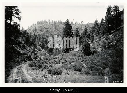 Reforestation, Field Work, Before & After - All States. Photographs ...