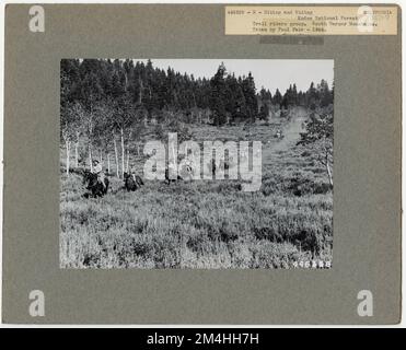 Hiking / Riding - California. Photographs Relating to National Forests ...